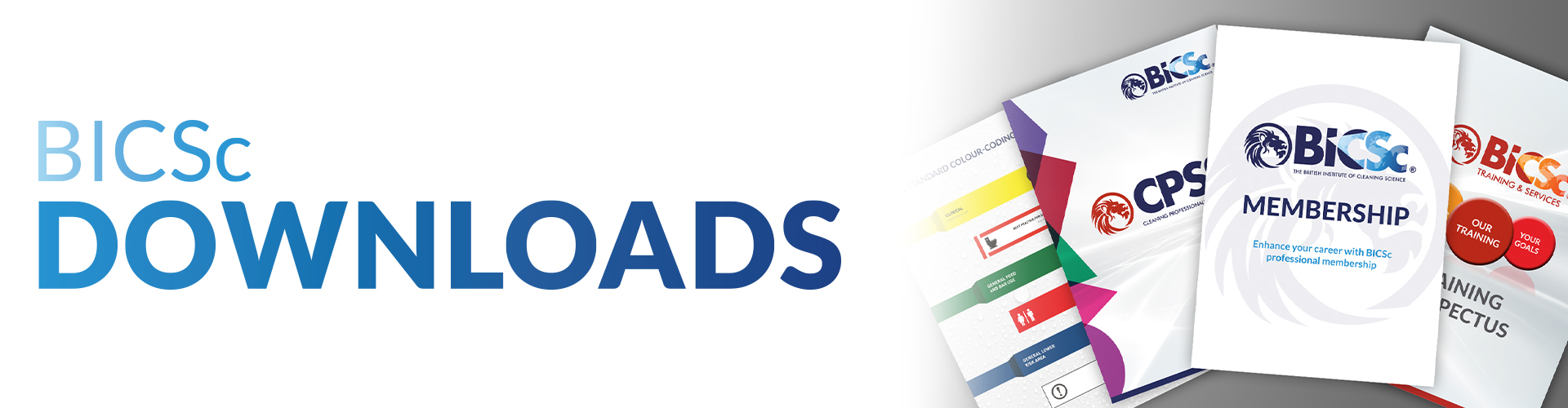 BICSc Downloads - BICSc