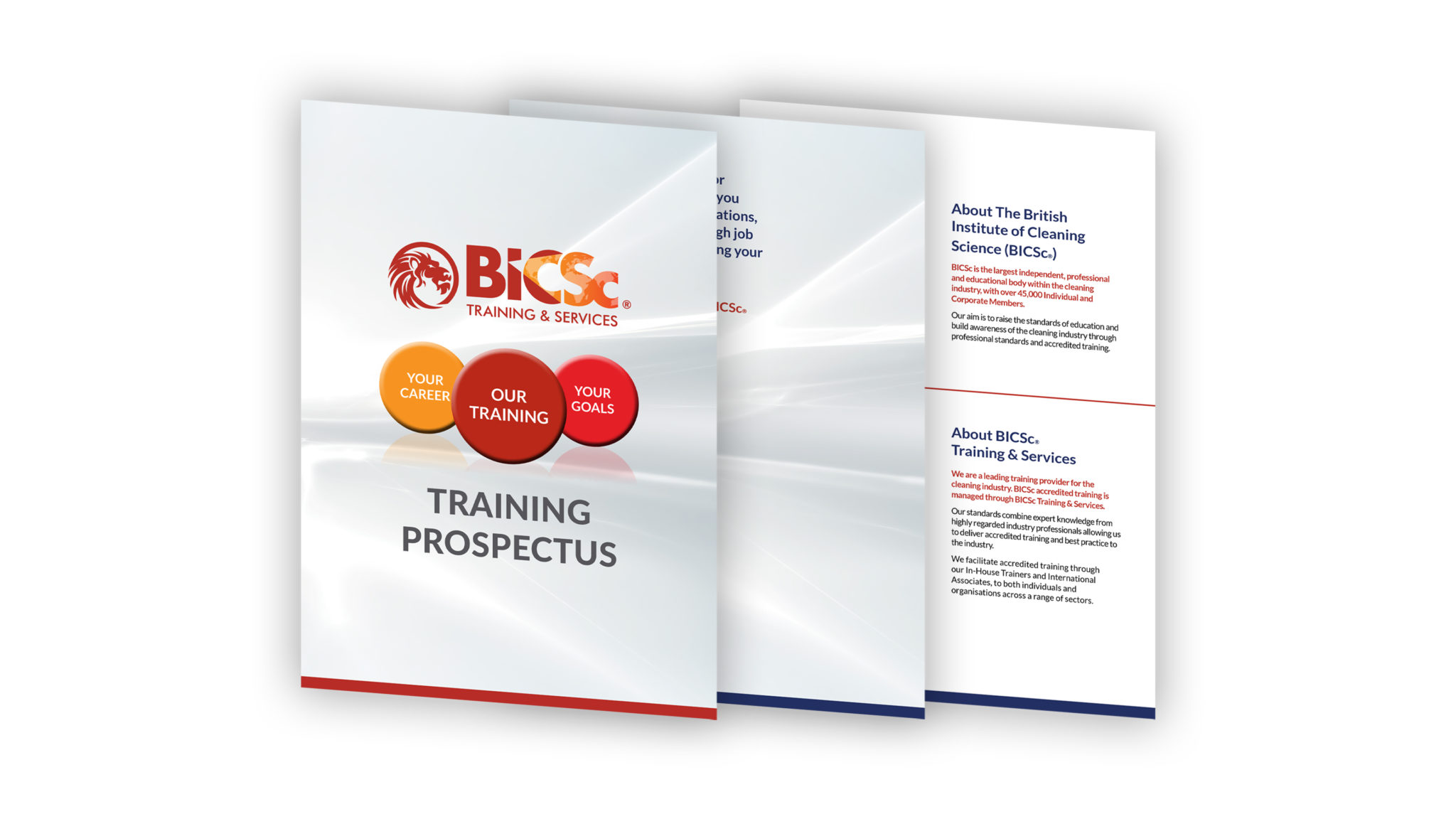Our Training and Services - BICSc
