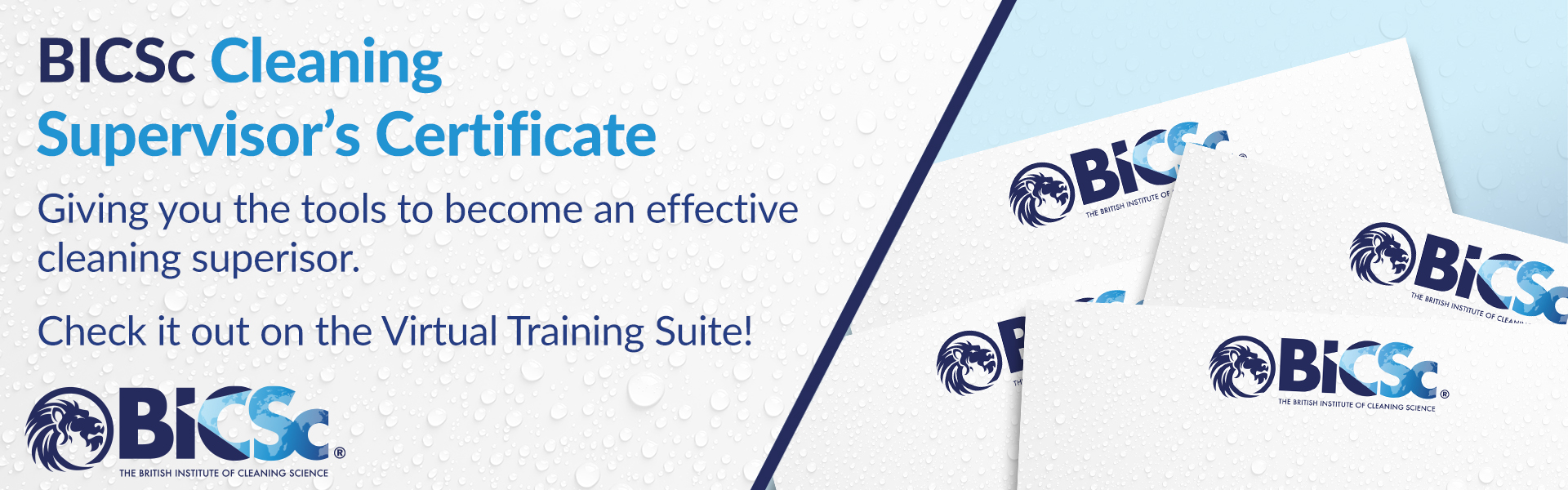 BICSc Review 2023 - BICSc